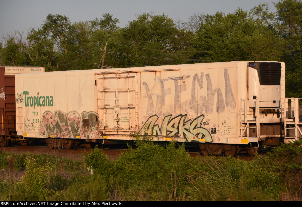 TPIX 3187